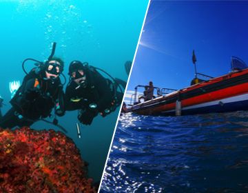 PADI Advanced Open Water Diver & PADI Boat Diver Sesimbra | Haliotis ...